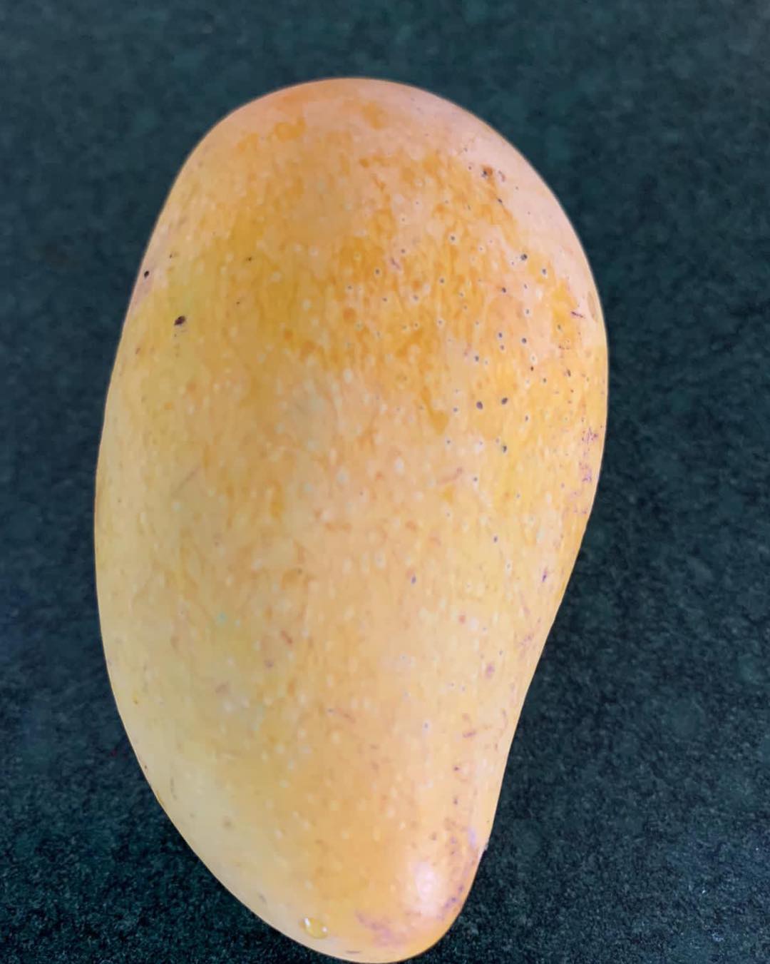 Mango Carabao Ross Creek Tropicals