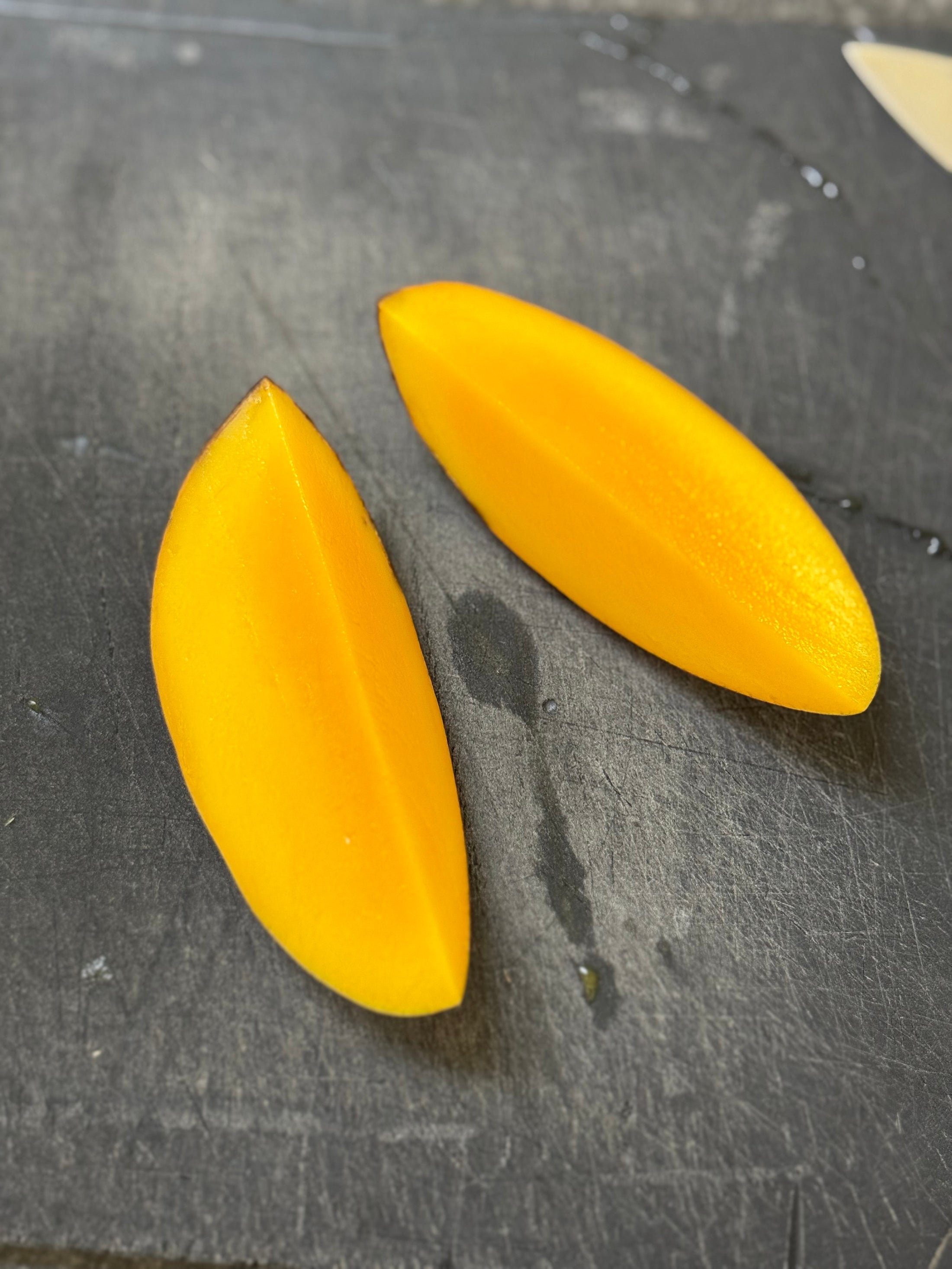 Dwarf Mango - Osteen 5l – Ross Creek Tropicals