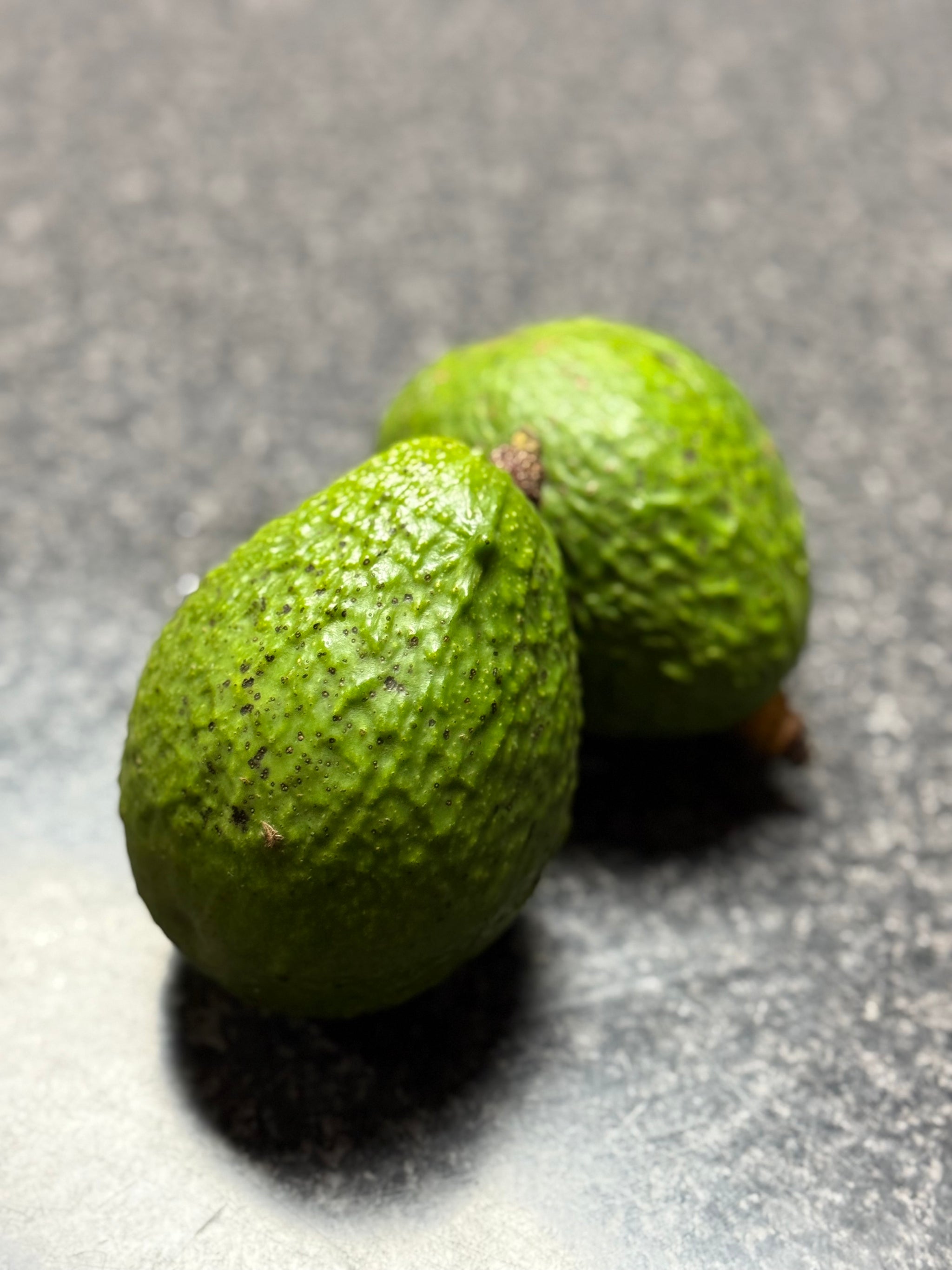 Nabal avocado 2l ( B Type) – Ross Creek Tropicals