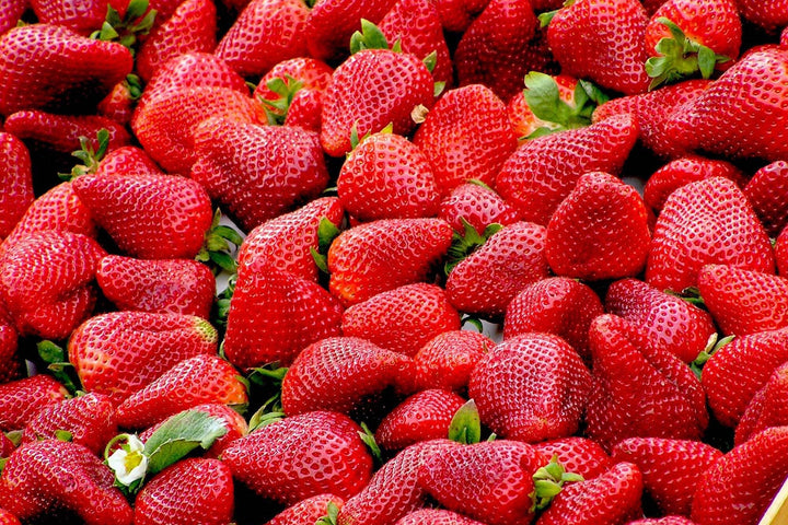 Buy Strawberry plants online Australia, delivered to your door – Ross ...