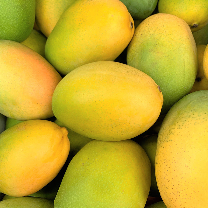Buy Brooks Late Mango Tree online - Delivered to your door! – Ross ...