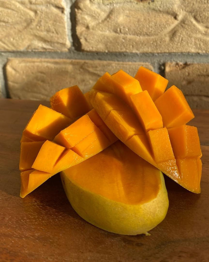 Buy Cat Chu Mango Tree online Australia – Ross Creek Tropicals
