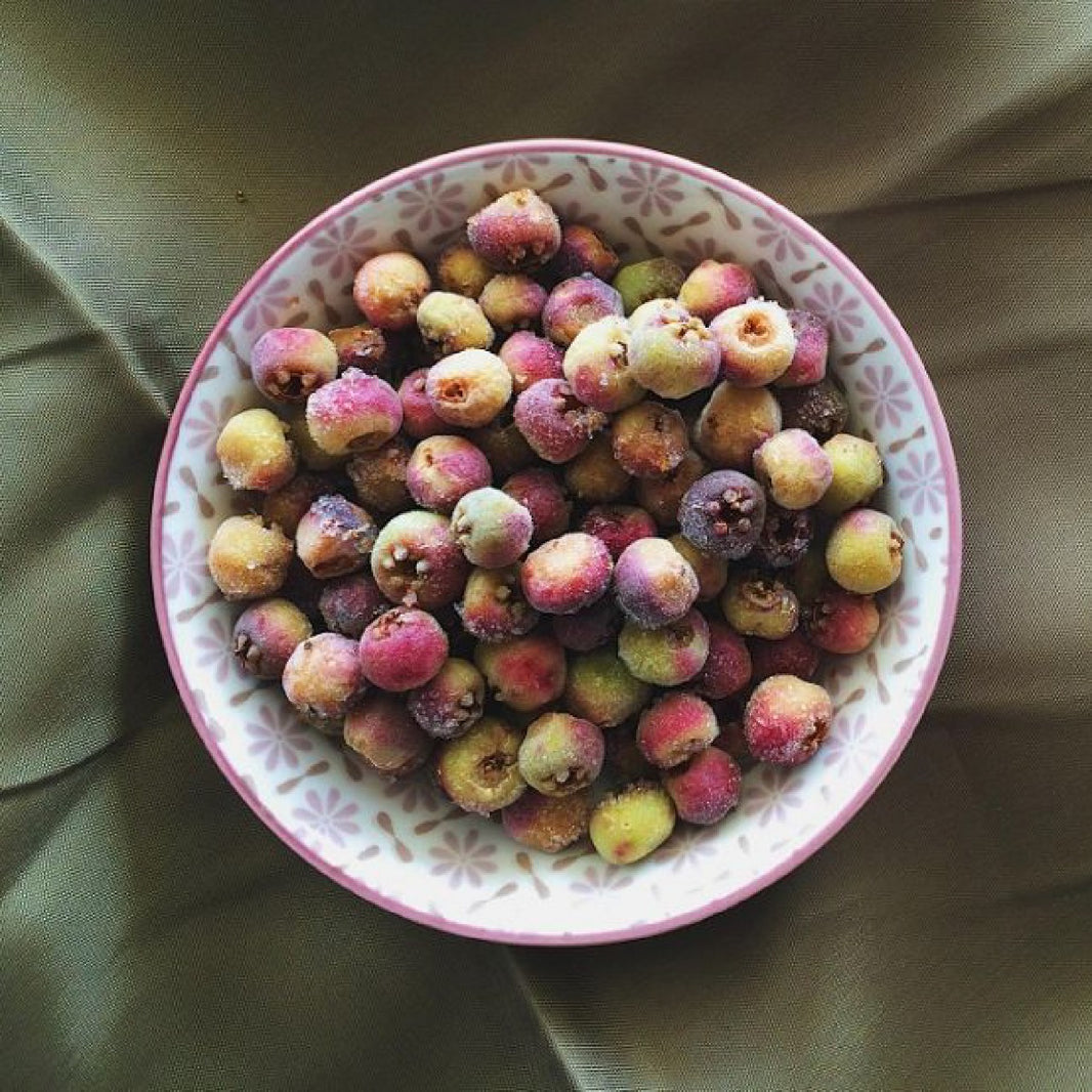 Buy Australian Native Fruit trees - Delivered to your door! – Ross ...