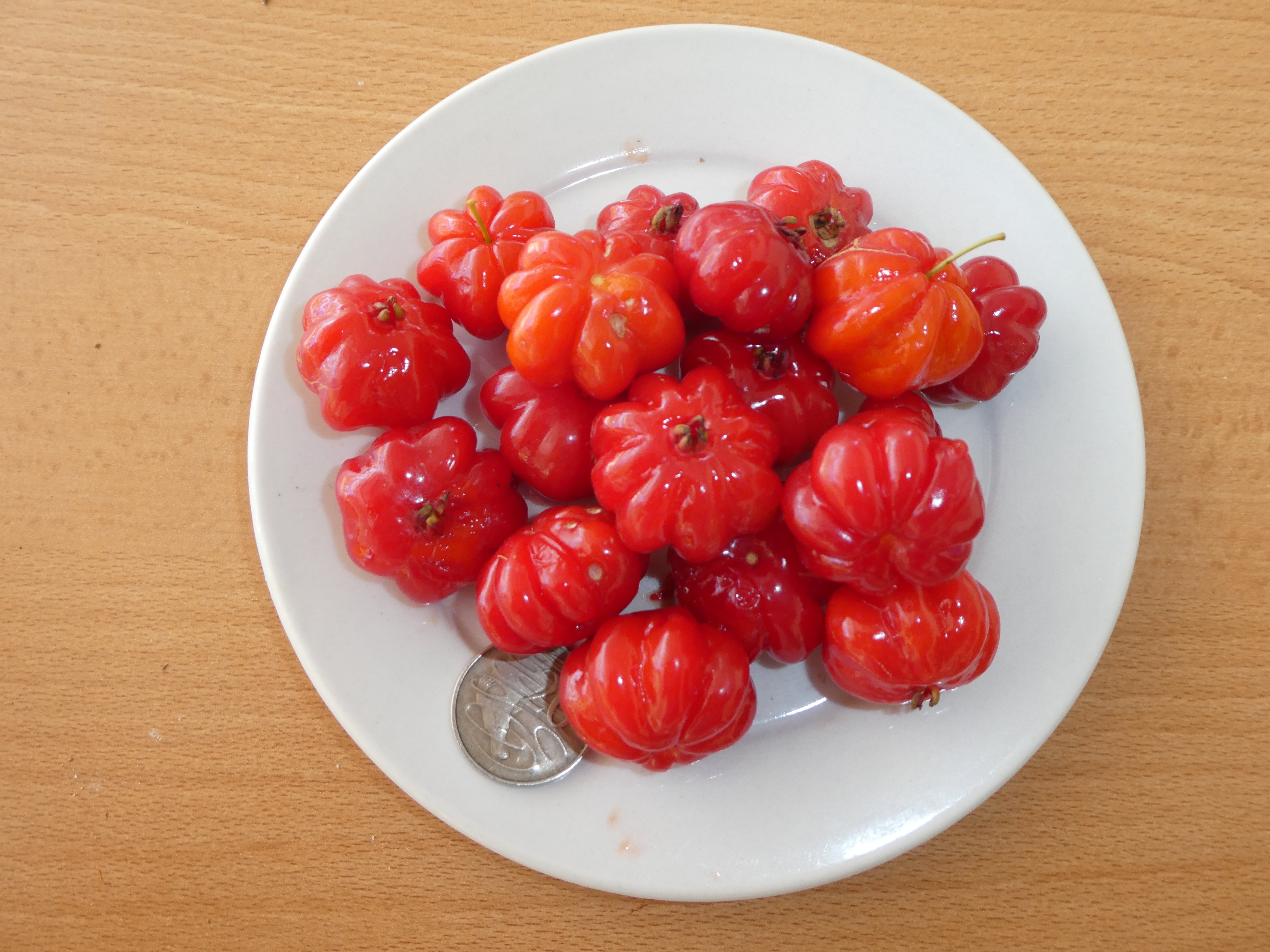 Brazilian Cherry - Sweet red – Ross Creek Tropicals