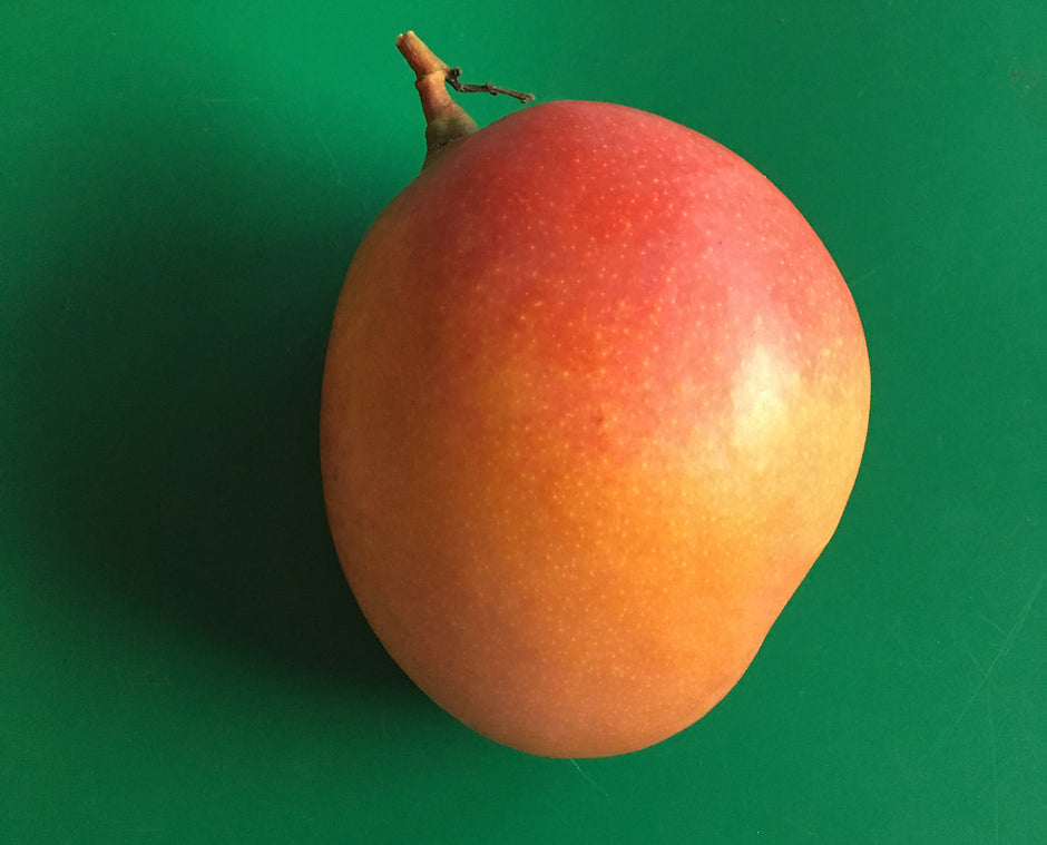 Buy Grafted Mango Trees online - Delivered to your door! – Page 3 ...
