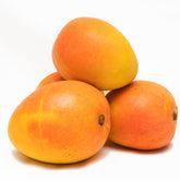 Buy Mango Trees online - Delivered to your door! – Ross Creek Tropicals