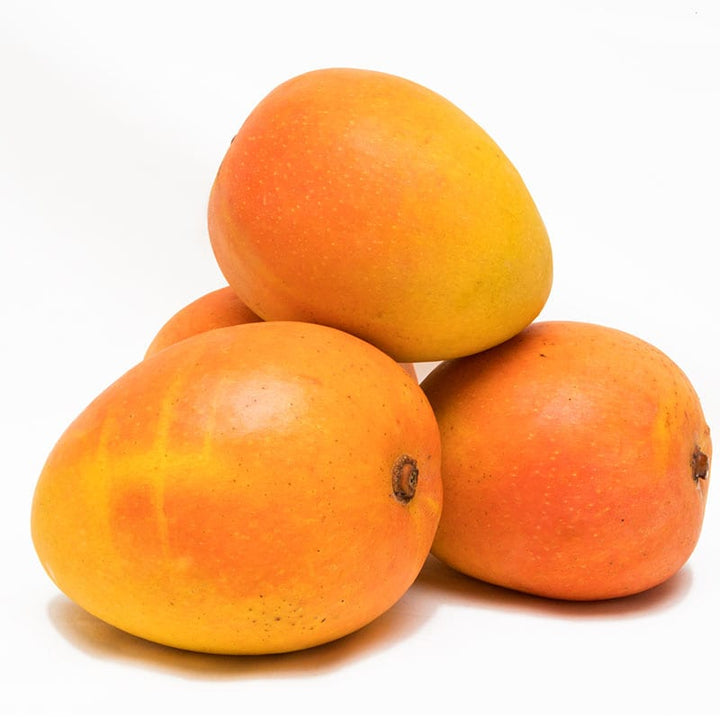 Buy Mango Trees online - Delivered to your door! – Ross Creek Tropicals