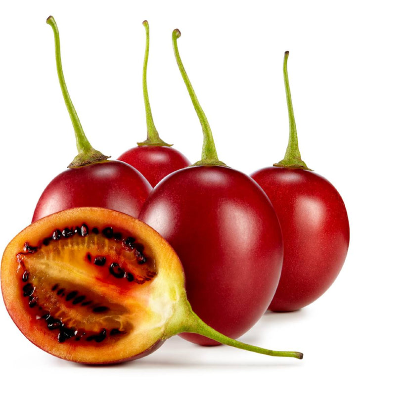 Tamarillo - Red – Ross Creek Tropicals