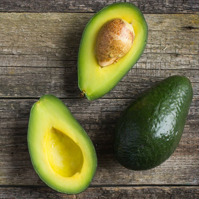 Buy Shepard avocado tree online, delivered to your door! – Ross Creek ...