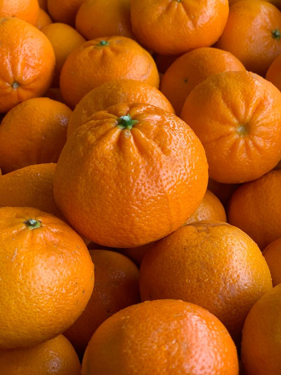 Mandarin - Afourer (Qld only) – Ross Creek Tropicals