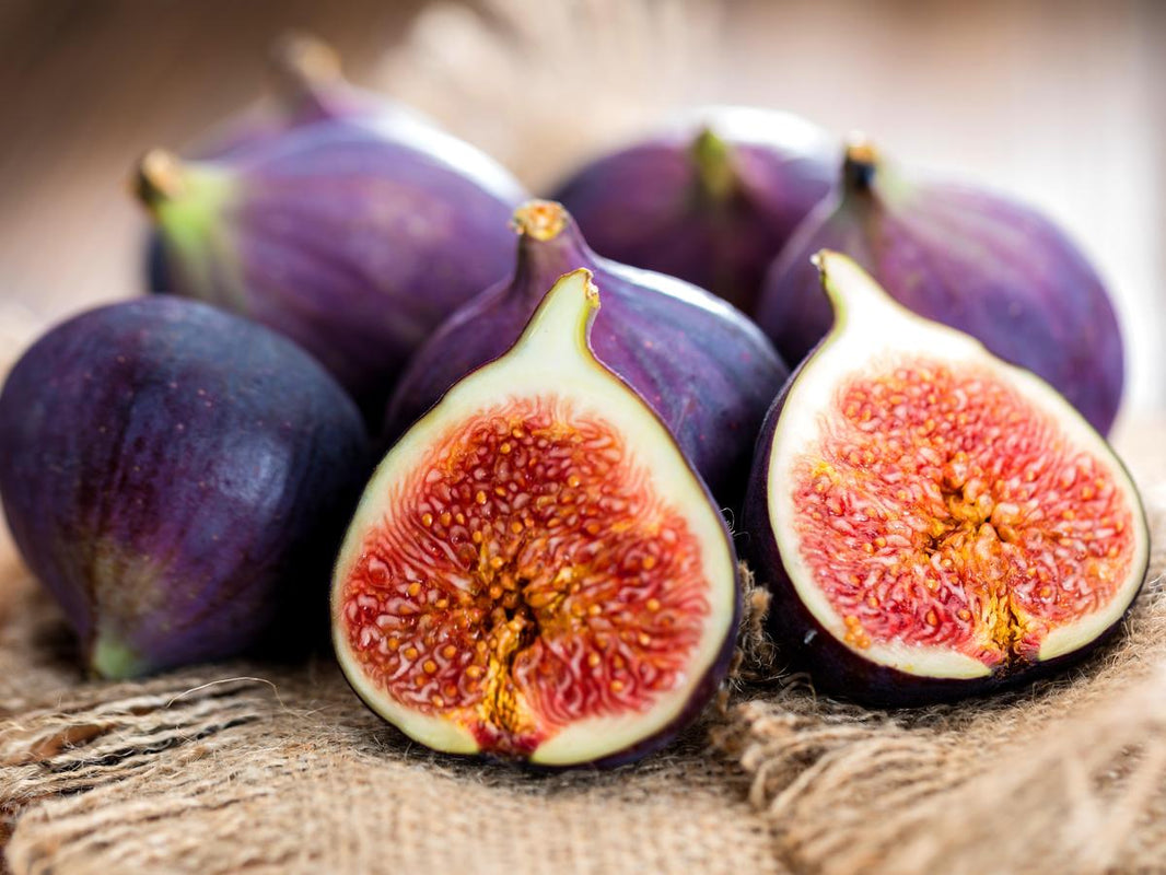 Buy Fig Fruit trees - Delivered to your door! – Ross Creek Tropicals